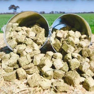 Multicube Lucerne & Teff Hay Cubes 20kg